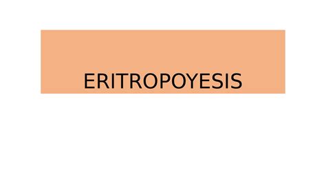Eritropoyesis Formación De Eritrocitos Docsity