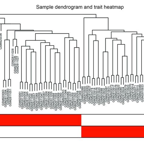 Hierarchical Clustering Dendrogram And Trait Heat Map The Branches