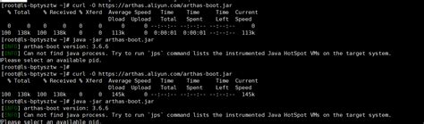 Can Not Find Java Process Try To Run `jps` Command Lists The Instrumented Java Hotspot Vms On