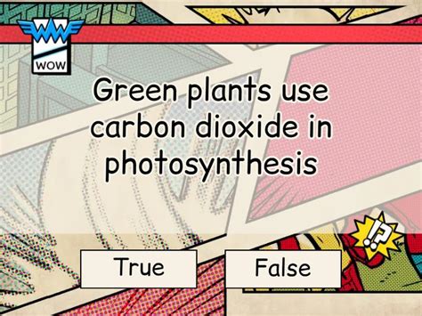 The C Cycle True Or False