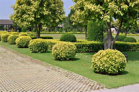 Our Work Mowing R Us