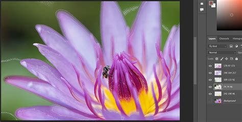 Solved Adobe Script Selecting The Most Prominent Color F Adobe Community 14054526