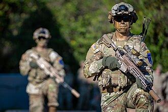 M7 Rifle Wikipedia