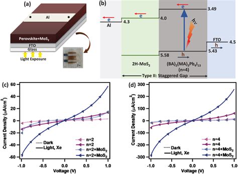 A Schematic Illustration Of Vertical Two‐electrode‐based Photodetector Download Scientific