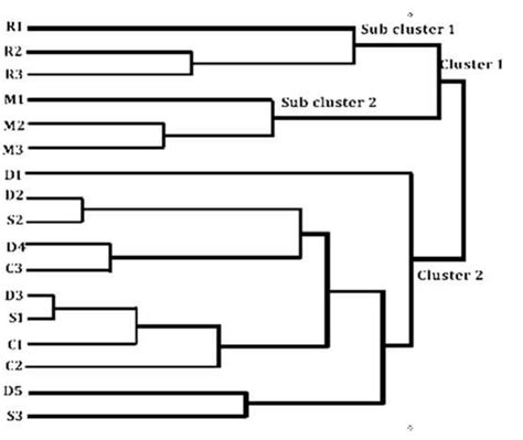 Dendrogram Constructed Based On Leaf Traits Showing Clustering Pattern
