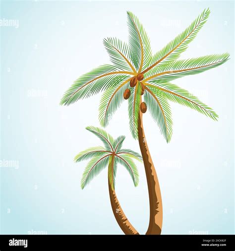 Beautiful Green Coconut Tree Leaf Design Stock Vector Image Art Alamy