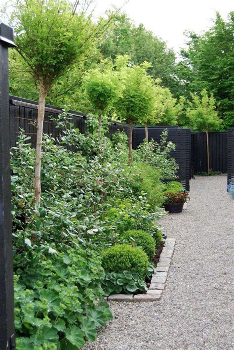 Hide Garbage Cans With Shrubs