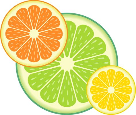 Kiwi Slice Clip Art 26400 Kiwi Fruit Stock Illustrations