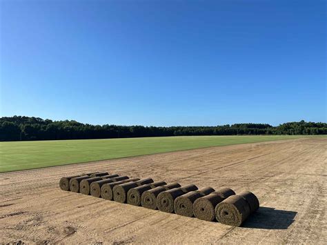 Empire® Zoysia Grass Sod Solutions Pro