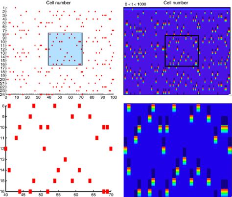 Solutions Of The Discrete Model Left And Neuronal Model Right For A