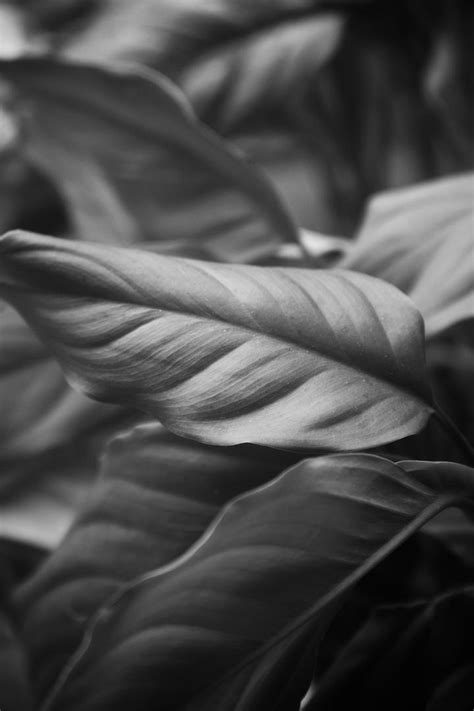 【器材篇】特龙tefnon 75 300mm F5 6 M42 知乎