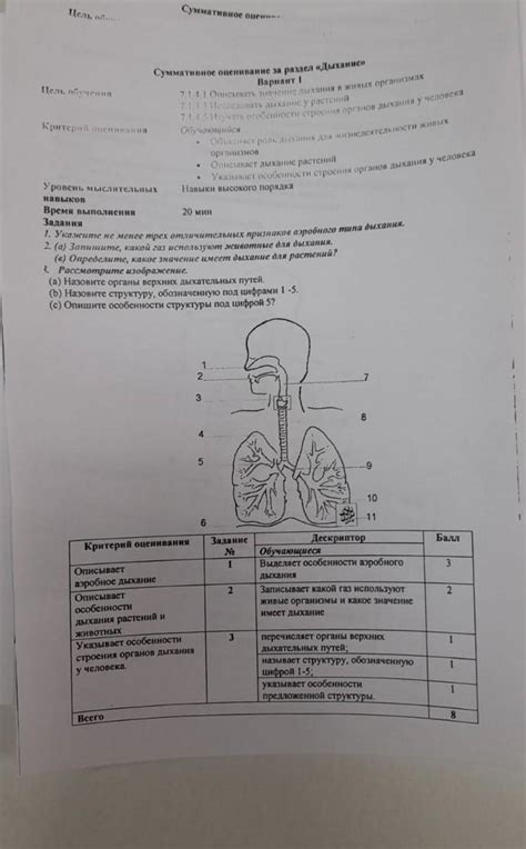 задание 3 назовите органы верхних дыхательных путей назовите