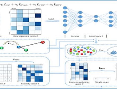 Using Next Generation Rna Sequencing To Identify Imprinted Genes Rna