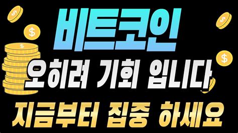 비트코인 전망 오히려 기회 입니다 지금부터 집중 하세요 Youtube