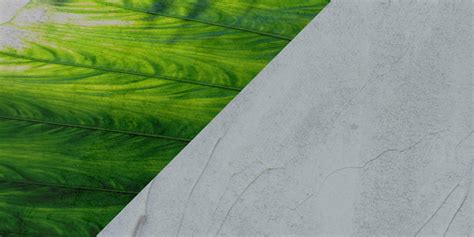 Bark And Tree Trunk Texture Background Stock Photo At Vecteezy