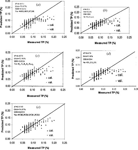Comparison Of Measured Concentration Of Tp With The Concentration