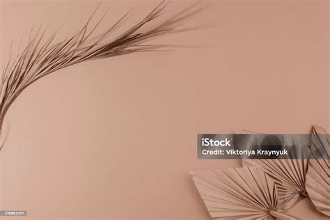부채 잎과 갈색 배경에 말린 야자수 잎 평면도 평면도 복사 공간 2025년 올해의 컬러 모카 무스 0명에 대한 스톡 사진 및 기타 이미지 Istock