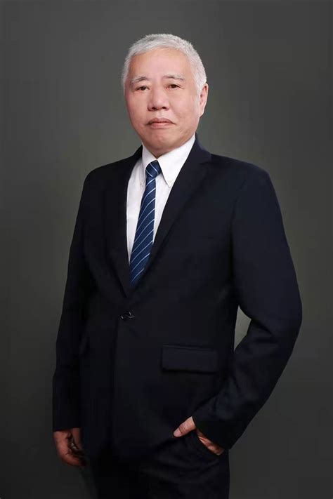 律师团队 广东合银律师事务所