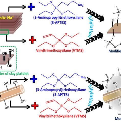 Schematic Representation Of Silane Functionalization Of Clay Download Scientific Diagram