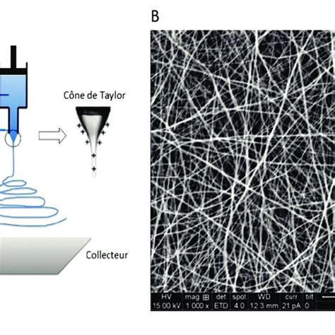 Détermination Des Coefficients De Mark Houwink K Et A à 25°c Pour Les Download Scientific