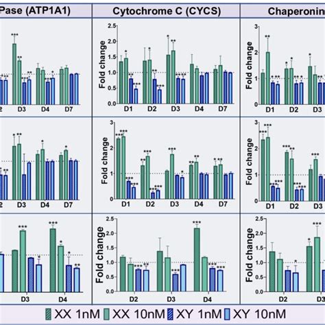 Sex Specific Effects Of Dht On Endothelial Cell And Fibroblast