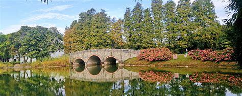 简介 中国科学院华南植物园