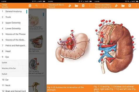 10 Android Apps To Learn Human Anatomy Mashtips