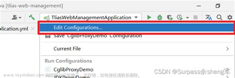Idea中rundebug Configurations添加vm Options和program Arguments Toy模板网