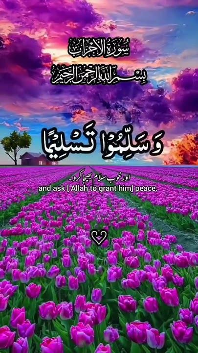 آپ صلی اللہ علیہ وسلم پر درود بھیجو Trending Trendingshort Tilawat Trend Vlog Fypシ