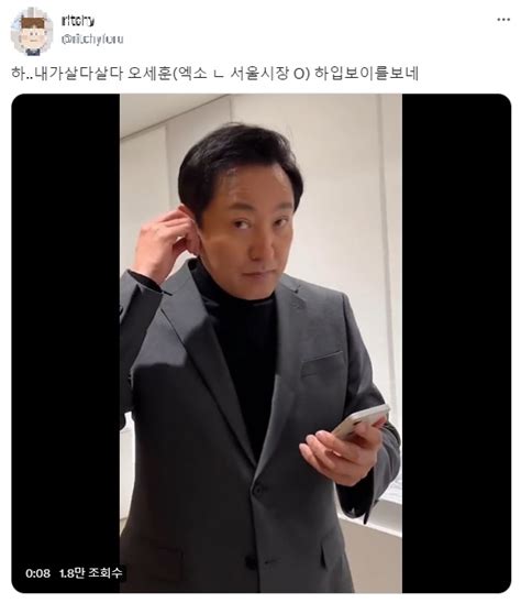 살다살다 오세훈 하입보이를 보네조회수 터진 뉴진스 밈 중앙일보
