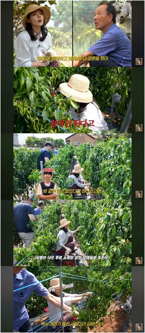 한가인 ♥연정훈과의 결혼으로 언니 부부에 민폐 나 때문에 빨리 했어자유부인 한가인