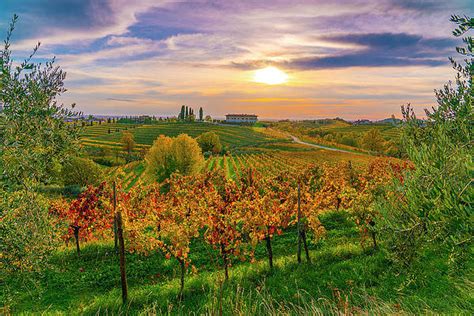 Friuli Art - Pixels