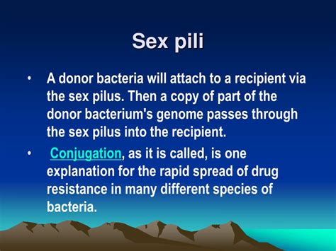 PPT Bacterial Morphology And Structure PowerPoint Presentation Free Download ID
