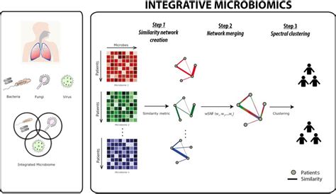 integrative microbiomics analytical approaches to respiratory