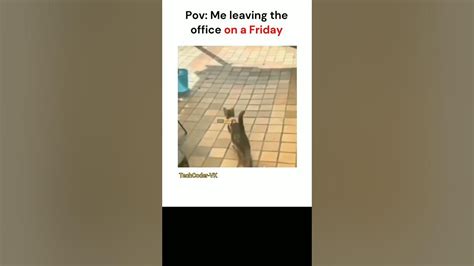 😁🤭programming Coding Webdevelopment Project C Javascript Funny Shortvideo Youtube