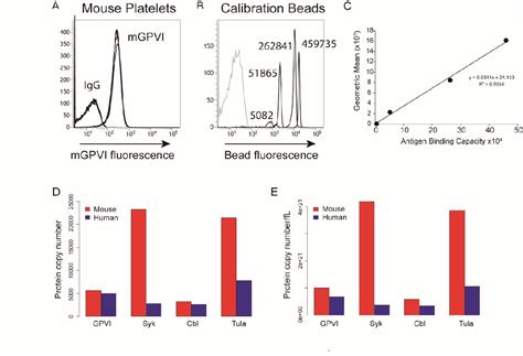 Figure 1 From Interspecies Differences In Protein Expression Do Not Impact The Spatiotemporal