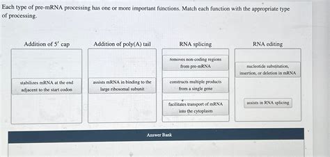 Solved Each Type Of Pre Mrna Processing Has One Or More