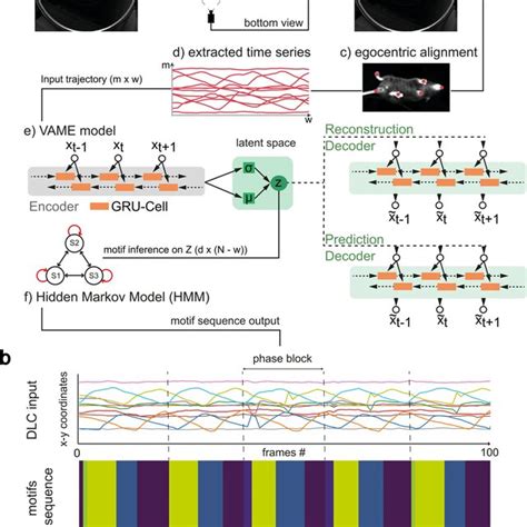 Vame An Unsupervised Deep Learning Model For Behavior Segmentation A