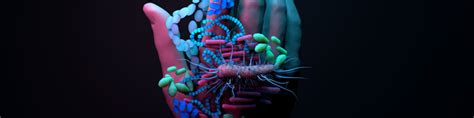 Emergency Department Management Of Cellulitis And Other Skin And Soft Tissue Infections