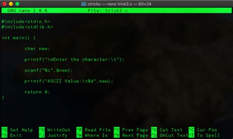 how to convert integer into ascii value using c program