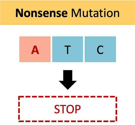 Types Of Mutations