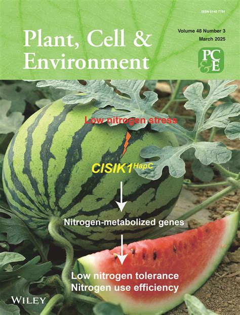 Multi‐omics Analyses Offer Novel Insights Into The Selection Of Sugar And Lipid Metabolism