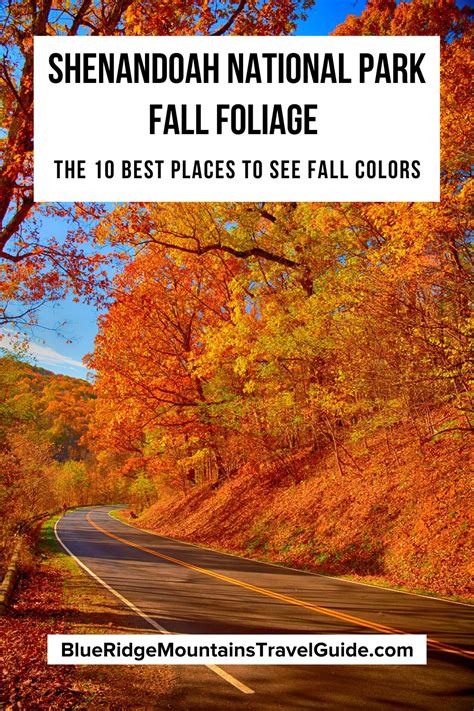 Fall In Shenandoah National Park 10 Places To See Fall Foliage