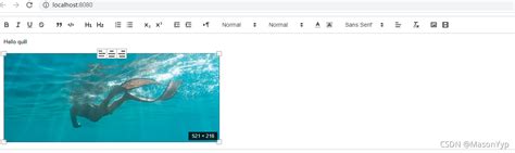 Vue2中使用vue Quill Editor实现编辑器vue Vue Quill Editor 在线 Csdn博客