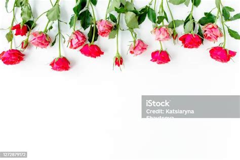 흰색 배경에 빨간 장미로 만든 꽃 테두리 프레임과 텍스트 복사 공간 발렌타인 의 배경 꽃 무늬 플랫 레이 상단 보기 0명에 대한 스톡 사진 및 기타 이미지 Istock