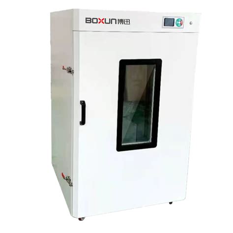 电热鼓风干燥箱