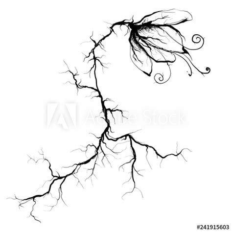 Veins Vector At Vectorified Com Collection Of Veins Vector Free For Personal Use