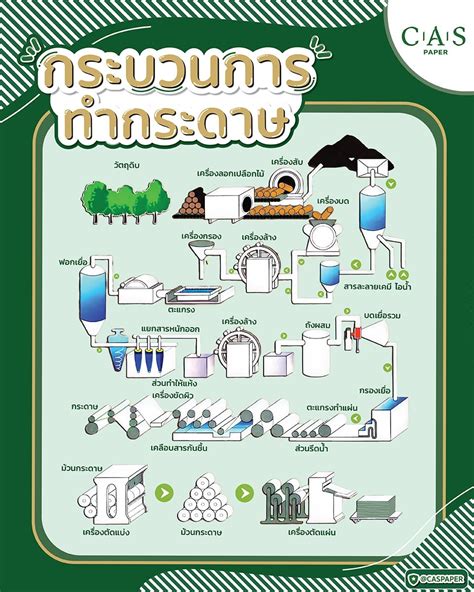 กระบวนการทำกระดาษ Cas Paper