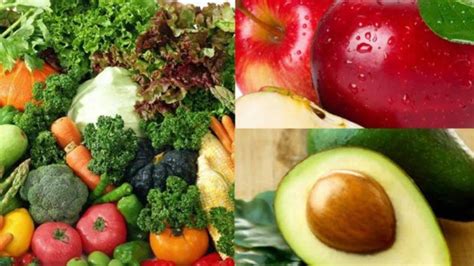 ចង់ឲ្យ កូន ទៅ ធំ កាន់តែ ឆ្លាត គួរតែ ឲ្យគេ មាន ទម្លាប់ ញ៉ាំ អាហារ ទាំងនេះ Tnaot