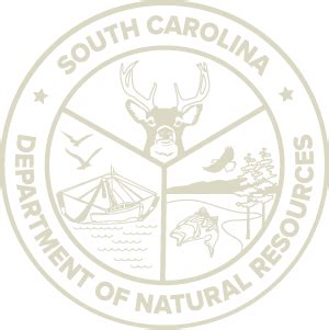 SCDNR Boating Forms